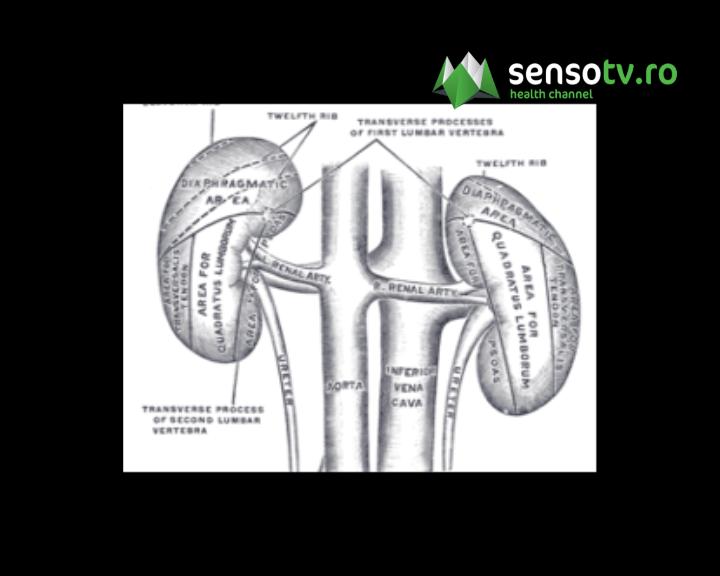 Sindromul nefrotic - Sensosanatate